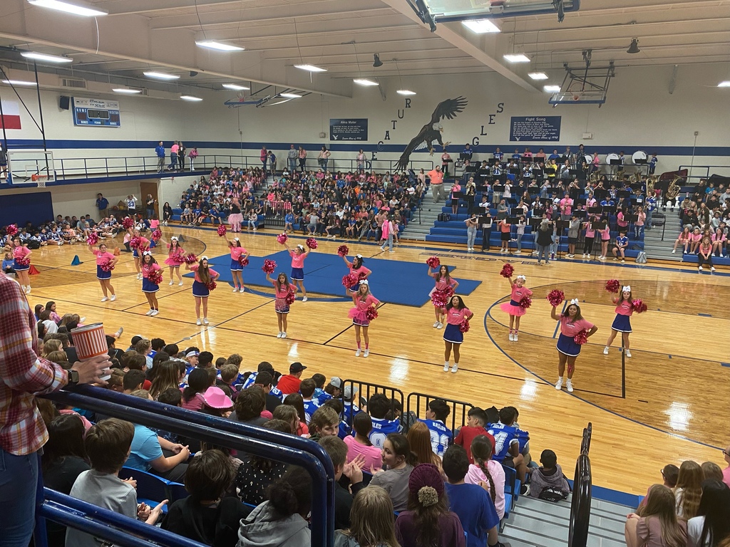 Live Feed | Decatur Independent School District