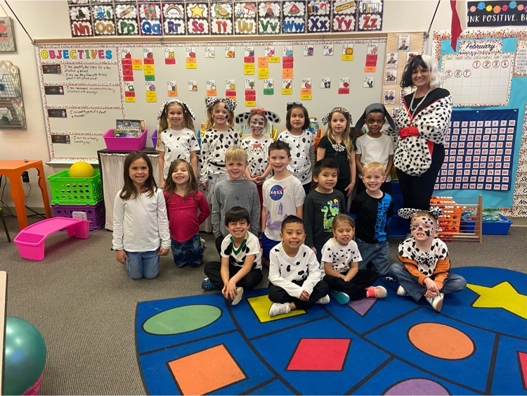 Live Feed | Carson Elementary