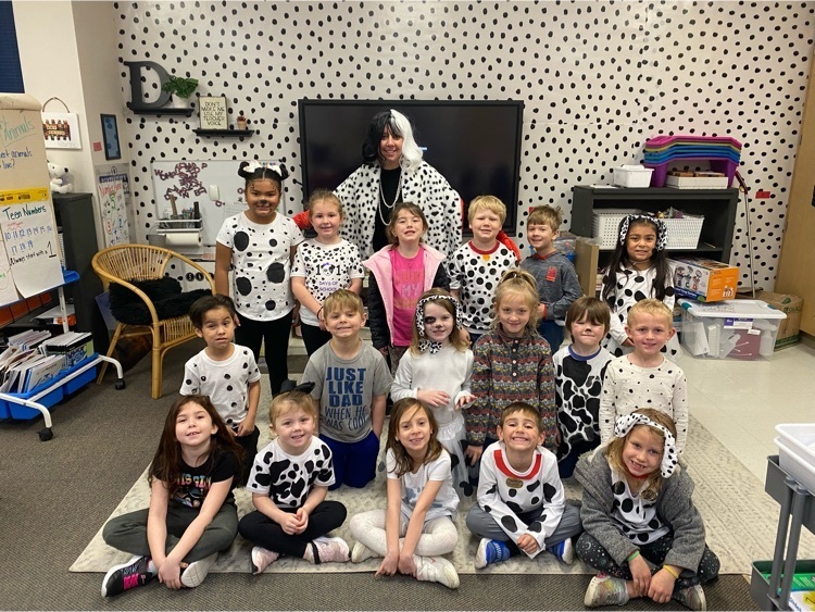 Live Feed | Carson Elementary